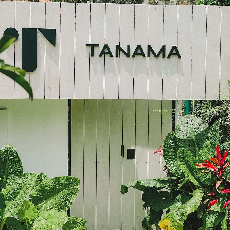 Studio - Studio Tanama