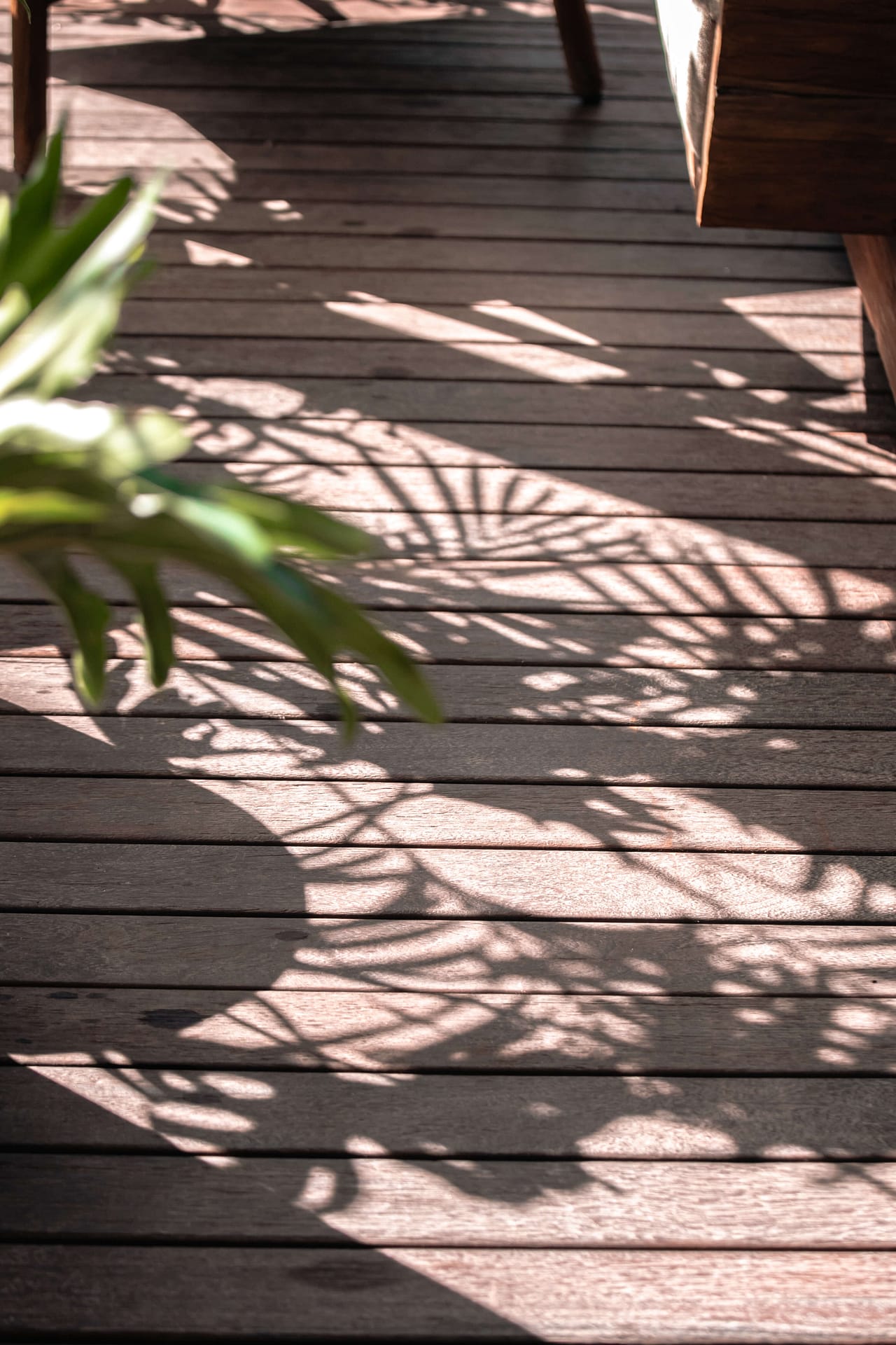 The Flow - Studio Tanama