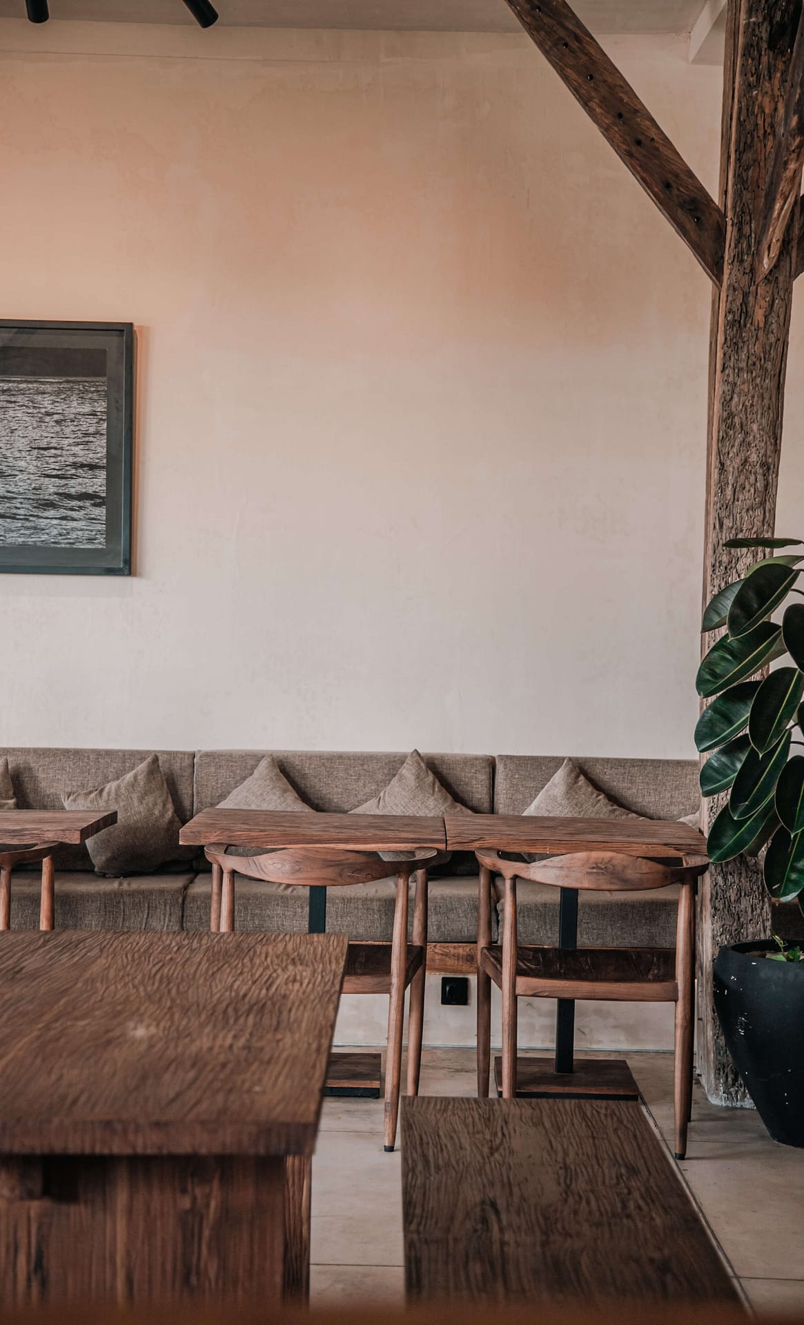 The Flow - Studio Tanama