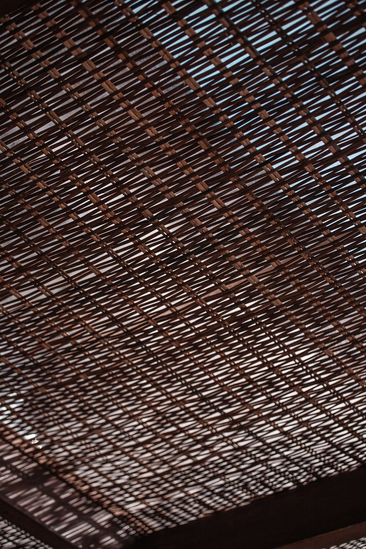 The Flow - Studio Tanama